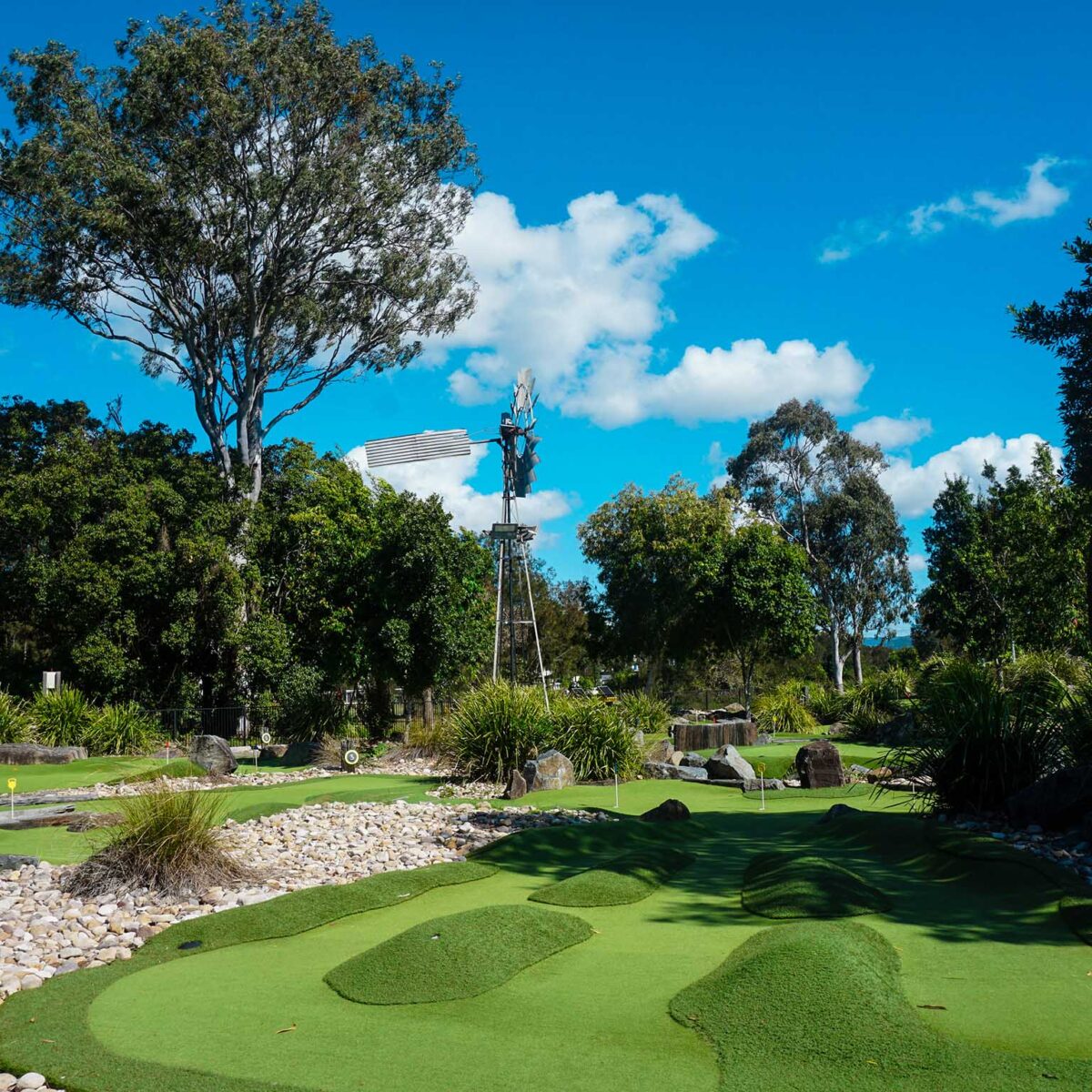 KDV Sport | The Premier Destination For Gold Coast Sport